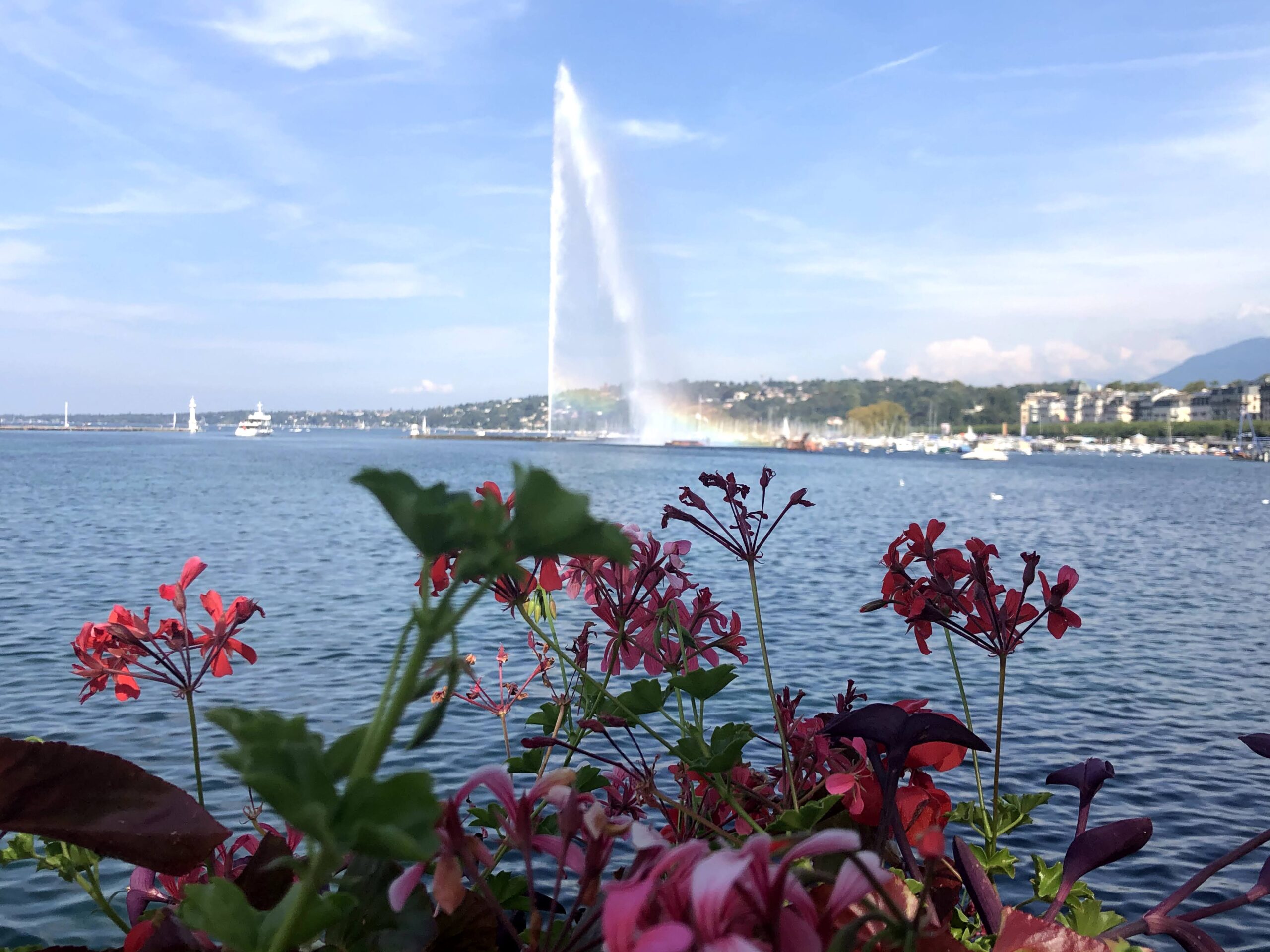 Visiter Genève un week end : que faire ? que voir