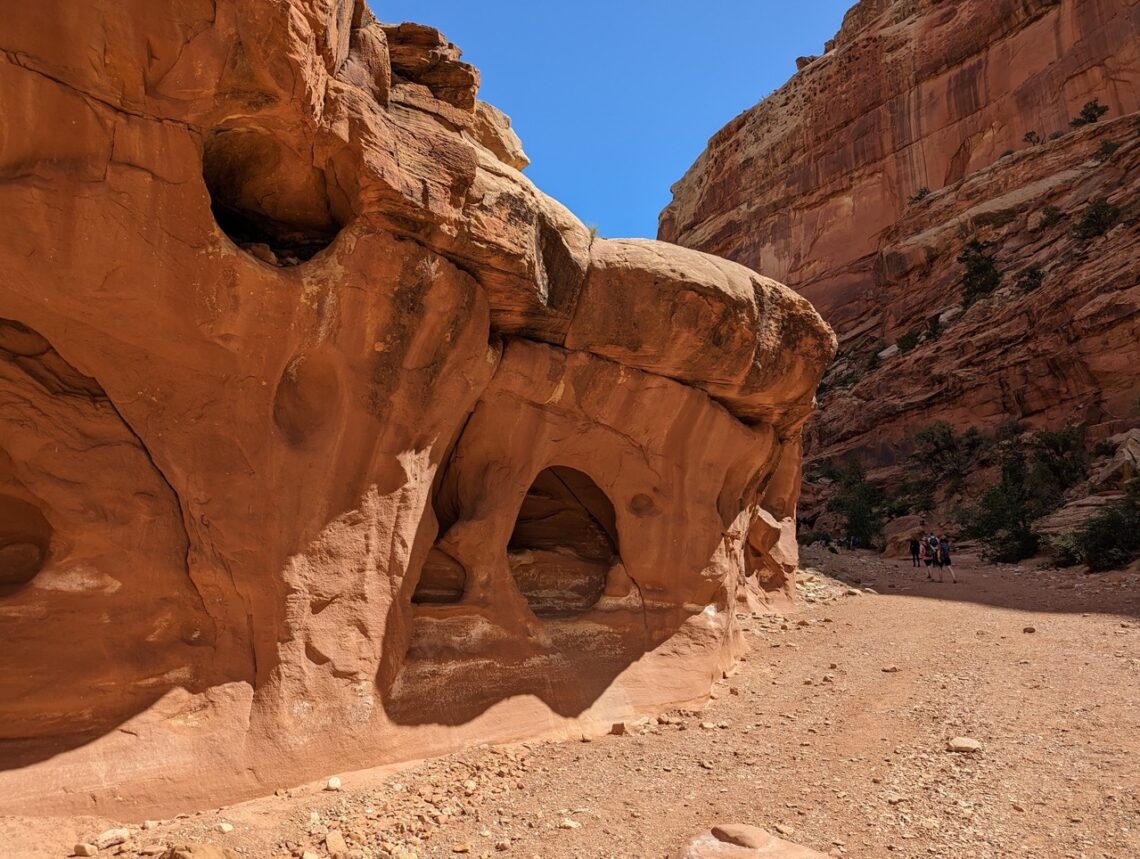 Capitol Reef National Park :guide pour une visite réussie