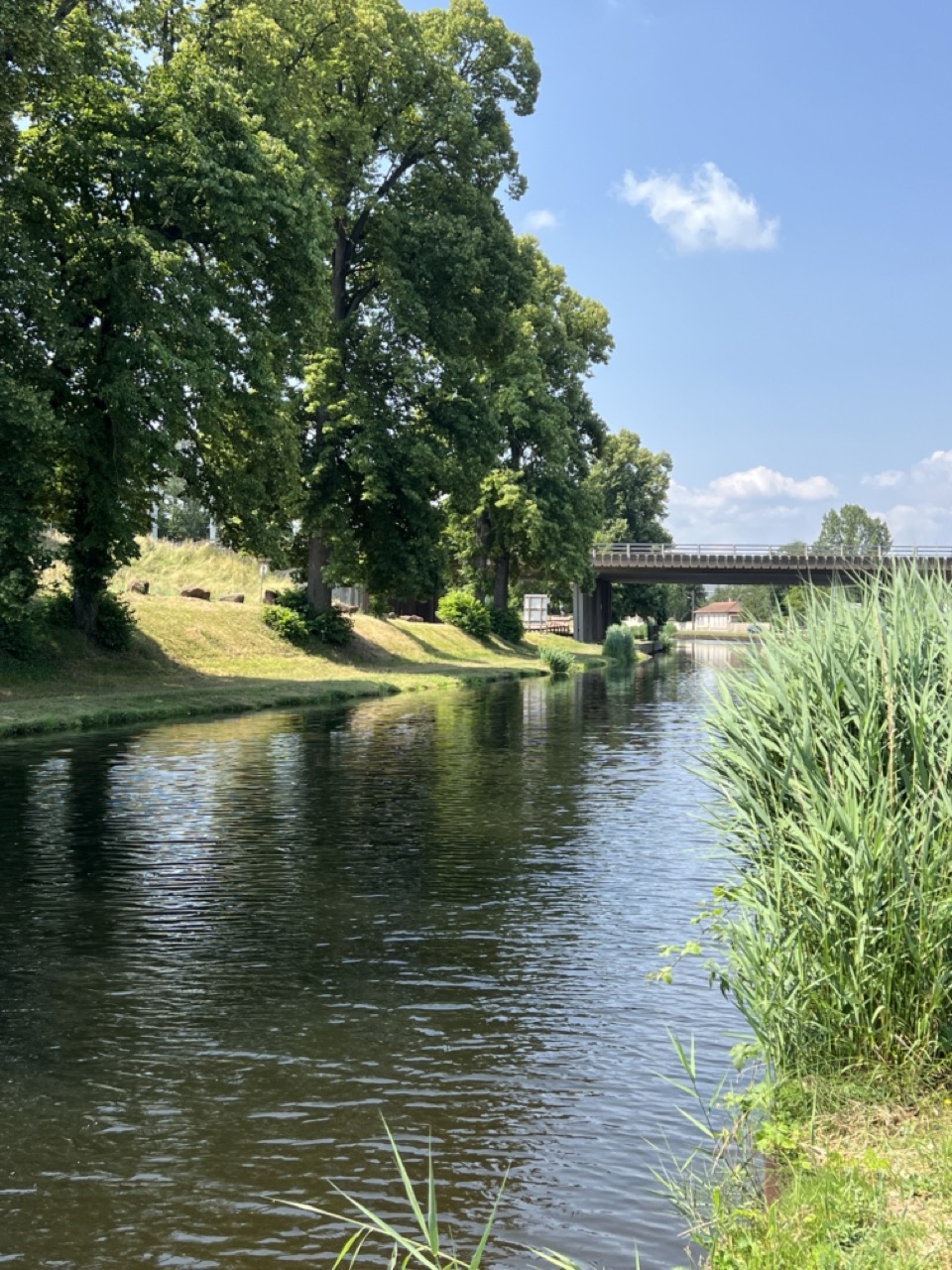 Roanne et ses environs : que faire ? Que voir