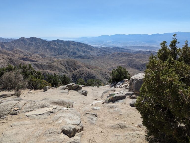 Joshua Tree National Park : que faire dans ce parc californien